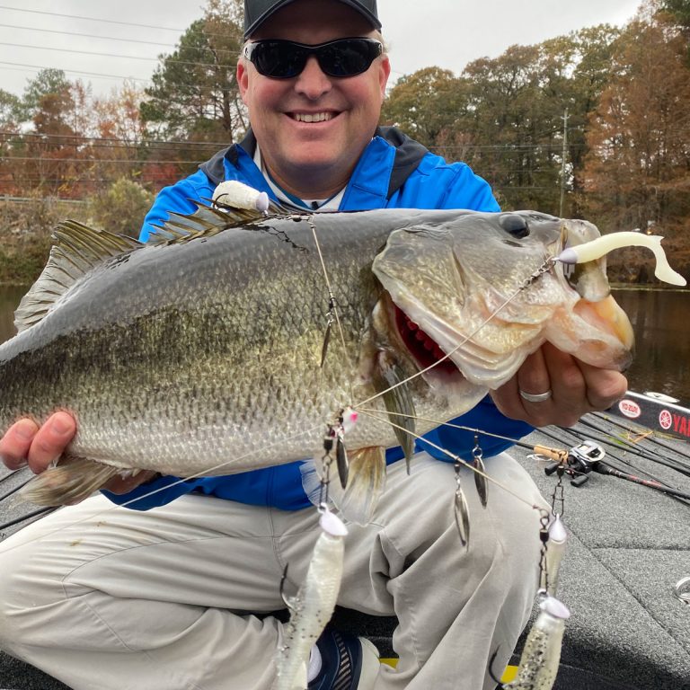 The Mullet is Fantastic for the Alabama Rig - Culprit Lures