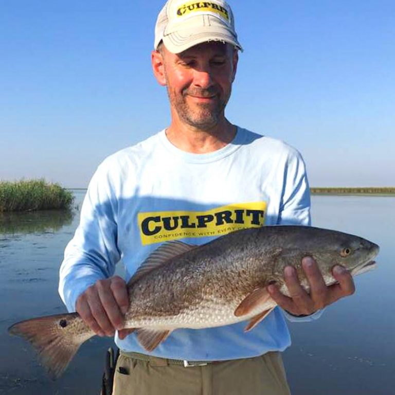 RipTide® Mullet Forward-Facing Sonar Bait - Culprit Lures