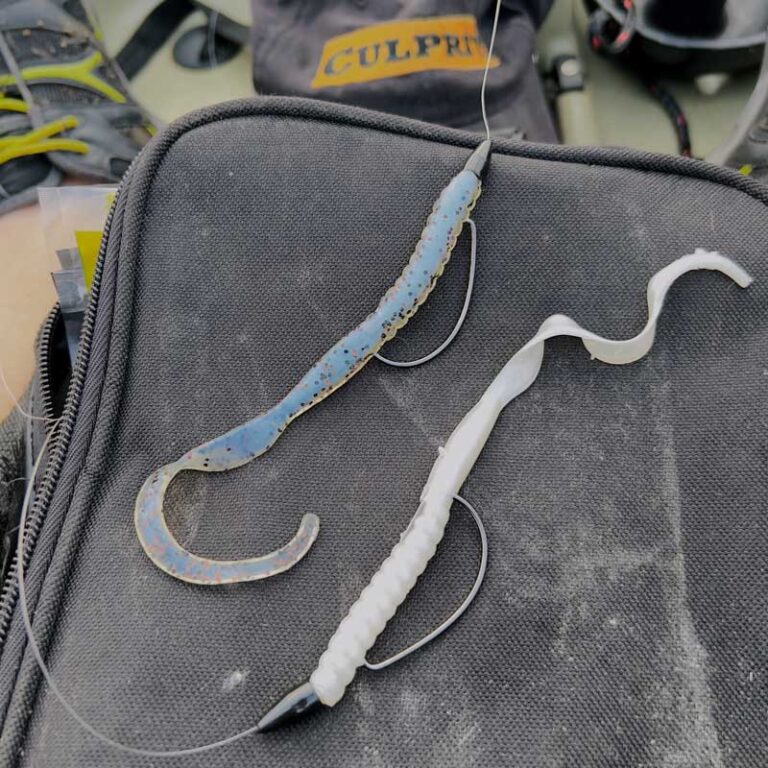 Killer Worm Colors for Fall - Culprit Lures